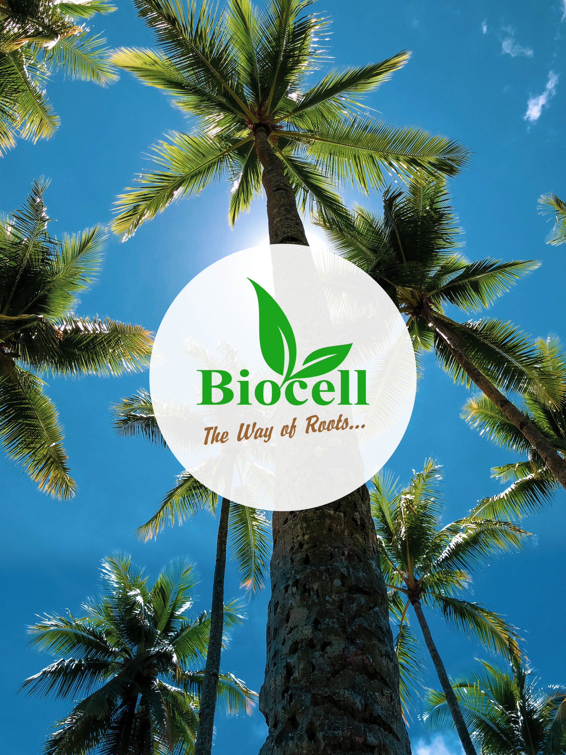 About – Biocell Pvt Ltd